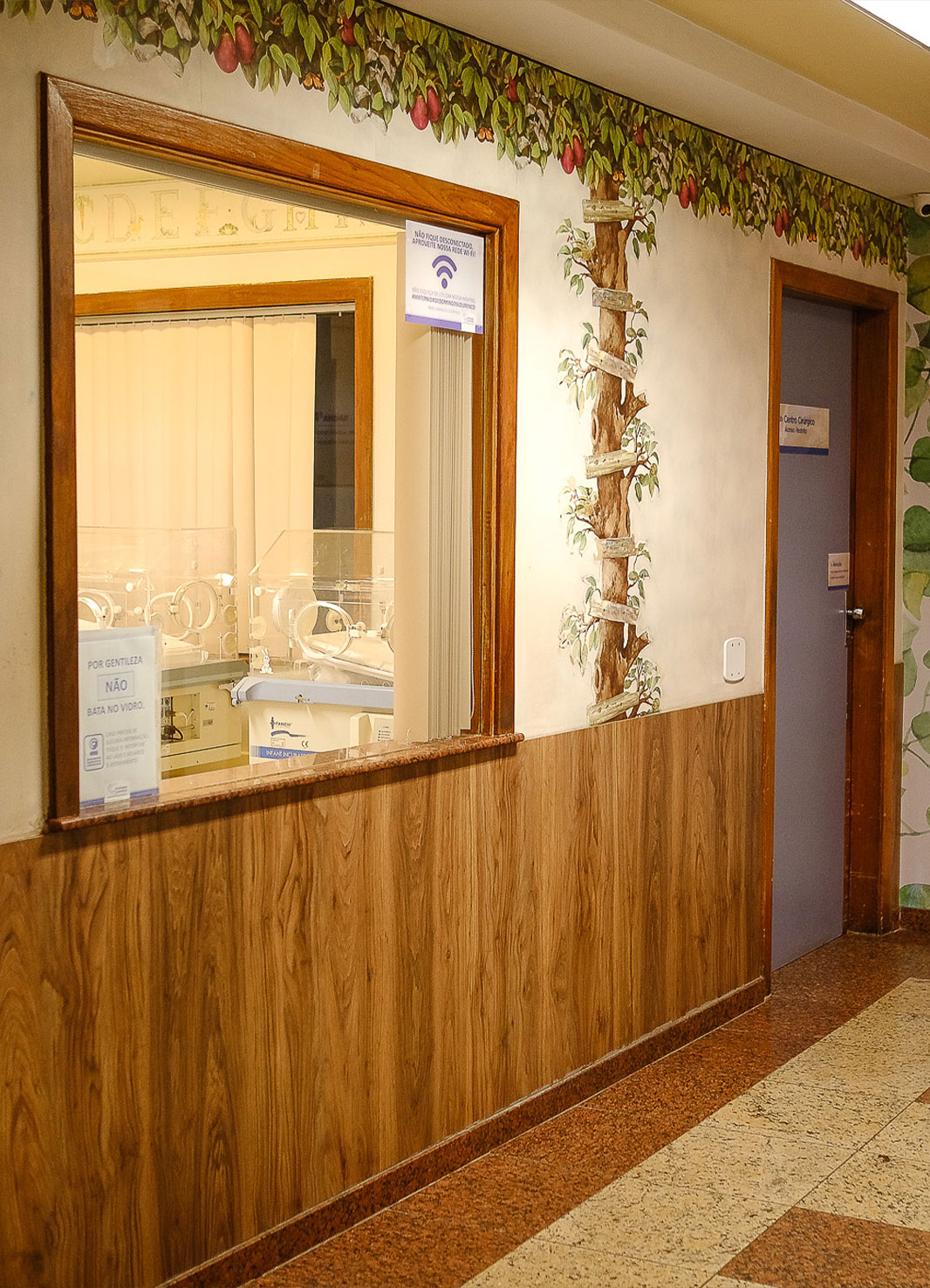 - Nascer - Plano Maternidade Domingos Lourenço